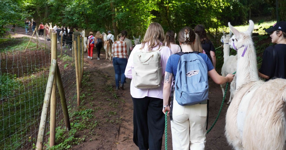 Azubi-Tag der Kreisverwaltung: Mit Lamas und Flammkuchen lernt man sich noch besser kennen ...