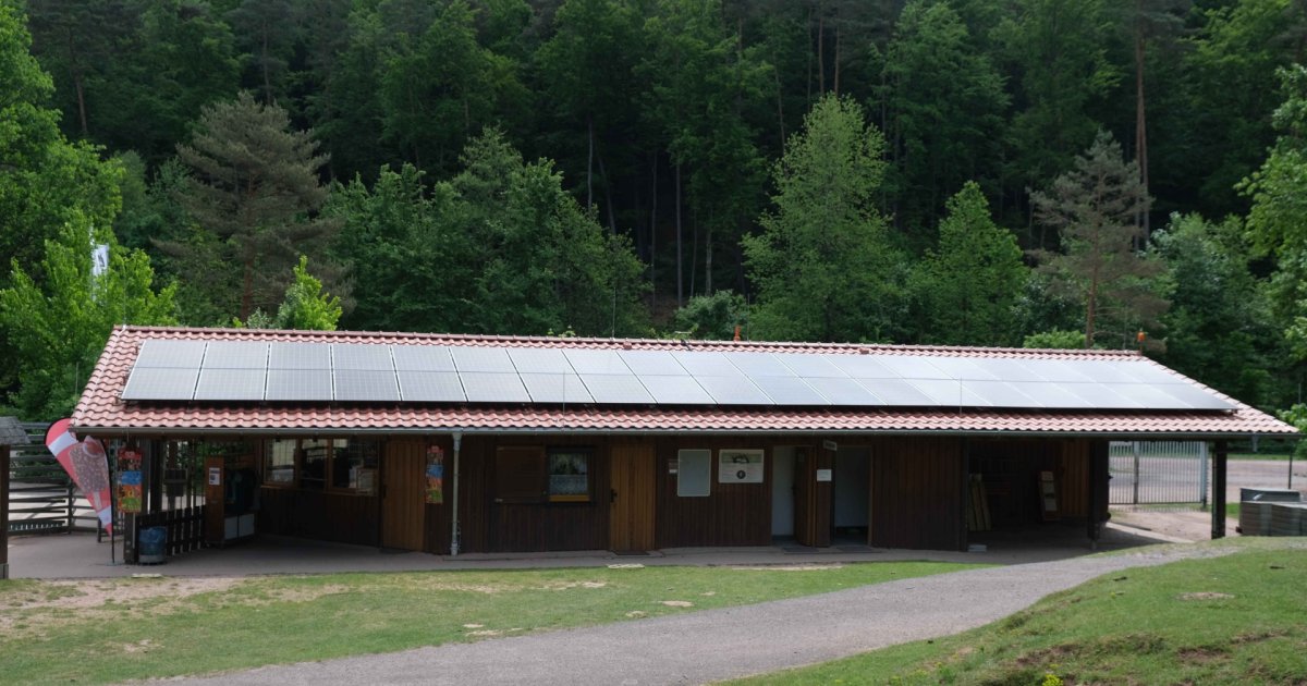 Nachhaltige Stromversorgung im naturnahen Park: Kreis SÜW hat PV-Anlage ...